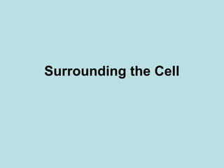 Lab 3 cell structure and function spring 2018 | PPT