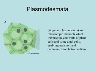 Lab 3 cell structure and function spring 2018 | PPT