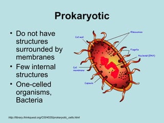 Lab 3 cell structure and function spring 2018 | PPT