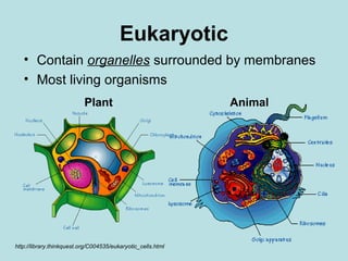 Lab 3 cell structure and function spring 2018 | PPT