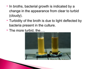 Lab 3 culture media 2012 | PPT
