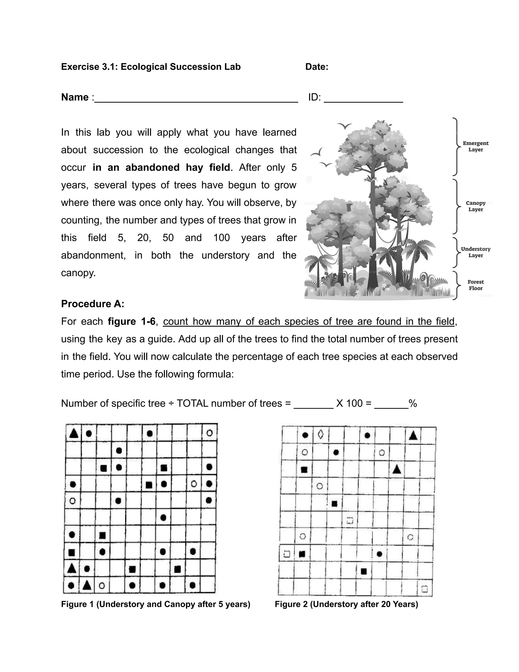 Ecological Succession SlideShare | PDF