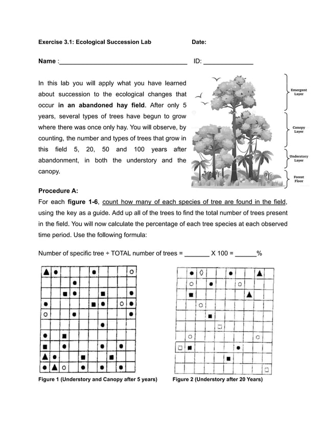 Ecological Succession SlideShare | PDF