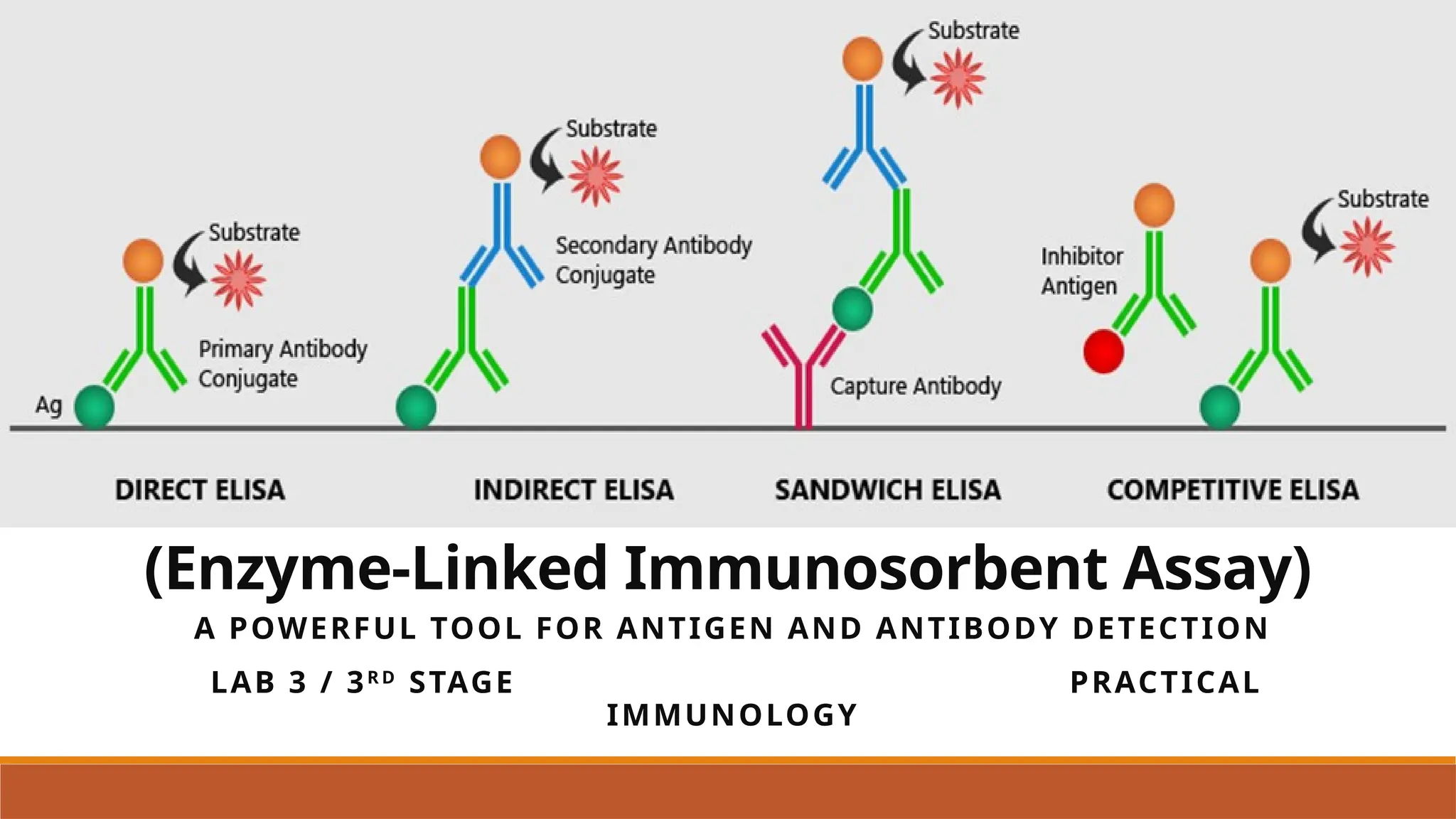 (Enzyme-Linked Immunosorbent Assay) A Powerful Tool for Antigen and Antibody Detection | PPT