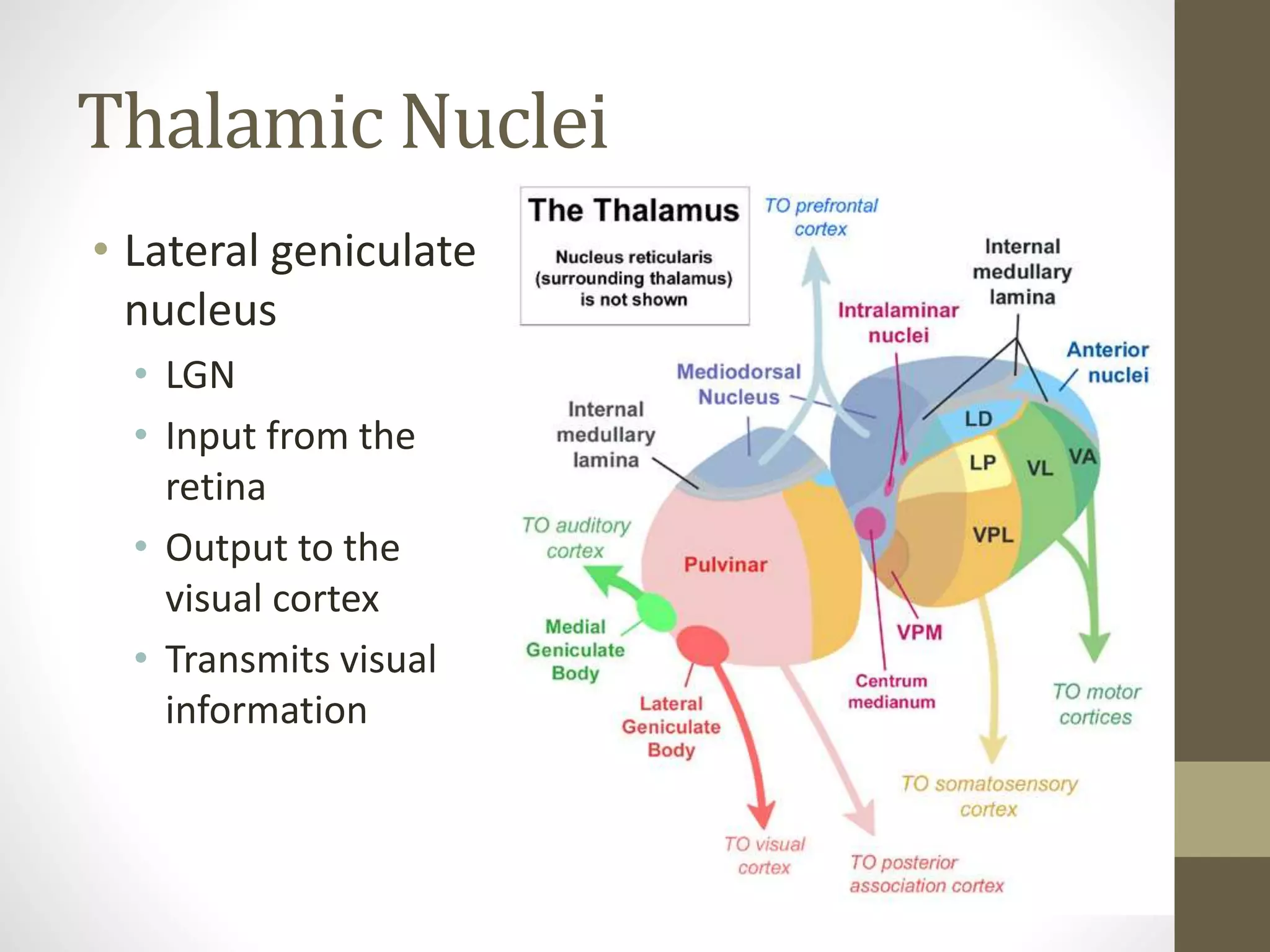 Lab 3 slides horizontal | PPTX