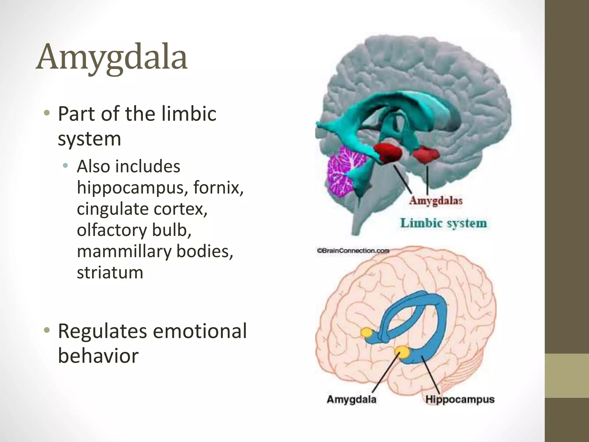 Lab 3 slides horizontal | PPTX