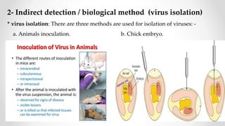 virus observation (lab diagnosis ).pptx