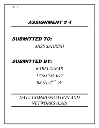 Lab 4 | DOCX | Computer Networking | Computing