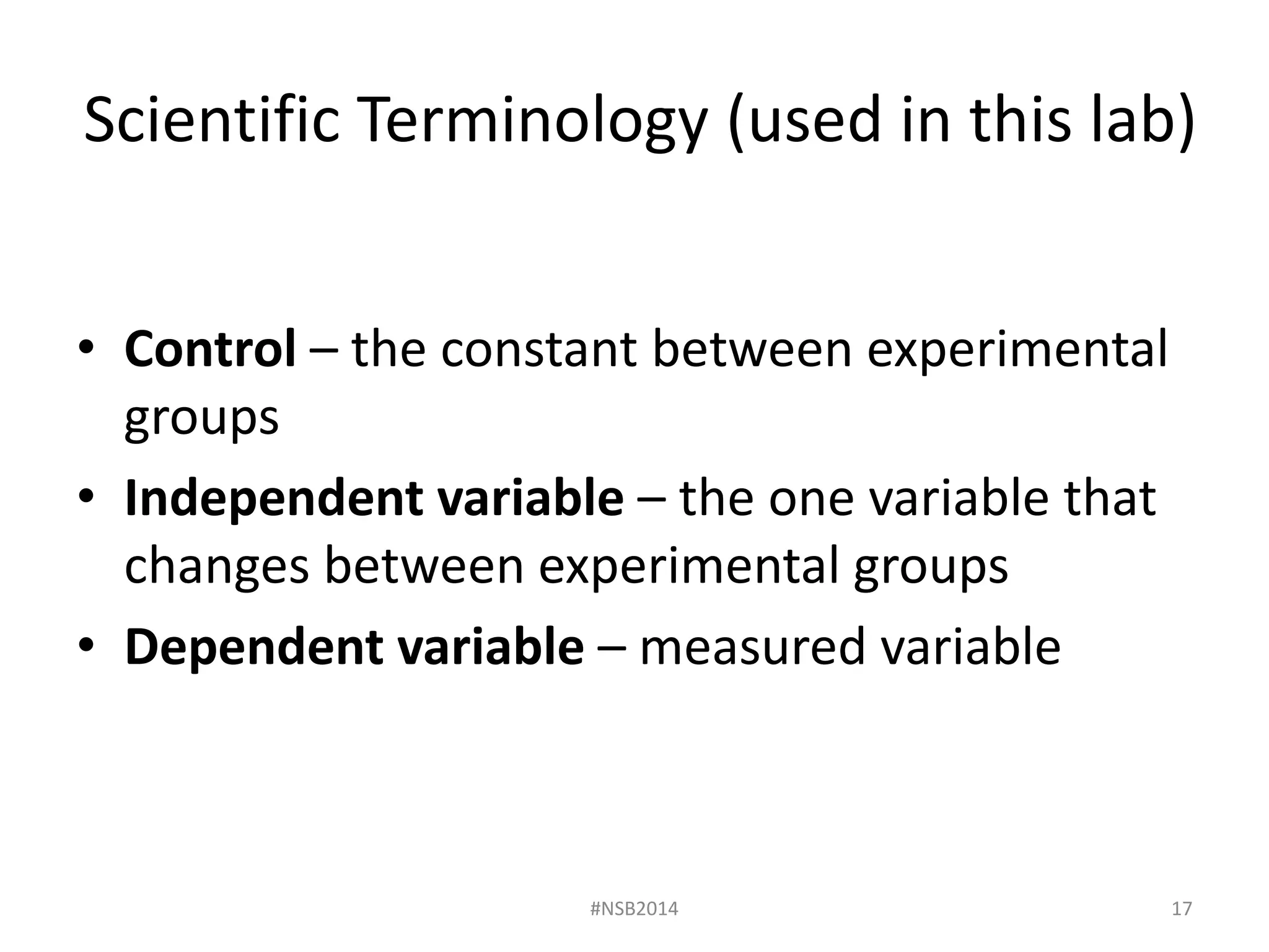 Lab 4 enzymes and the catalase lab fall 2014 | PPTX