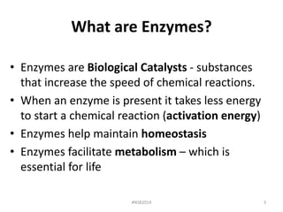 Lab 4 enzymes and the catalase lab fall 2014 | PPTX
