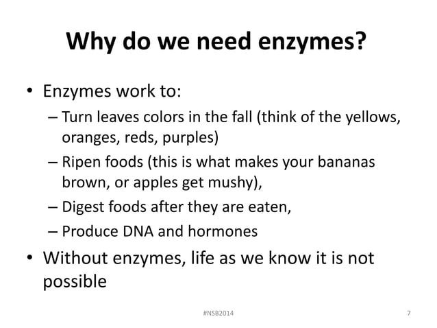 Lab 4 enzymes and the catalase lab fall 2014 | PPT