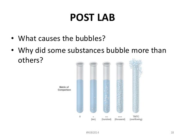 Lab 4 enzymes and the catalase lab fall 2014