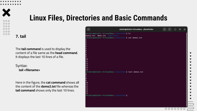 Lab 4 -Linux Files, Directories and Basic Commands Part-2.pptx