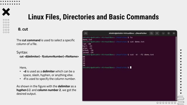 Lab 4 -Linux Files, Directories and Basic Commands Part-2.pptx