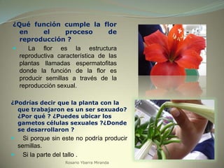 Organos reproductores de una planta | PPTX