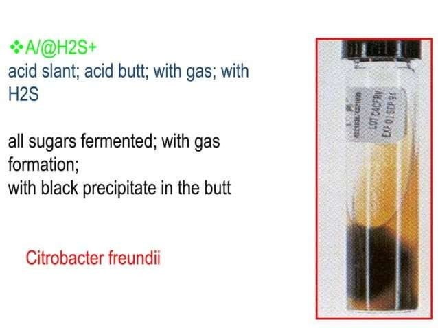 Biochemical test for identi of bacteria.pptx
