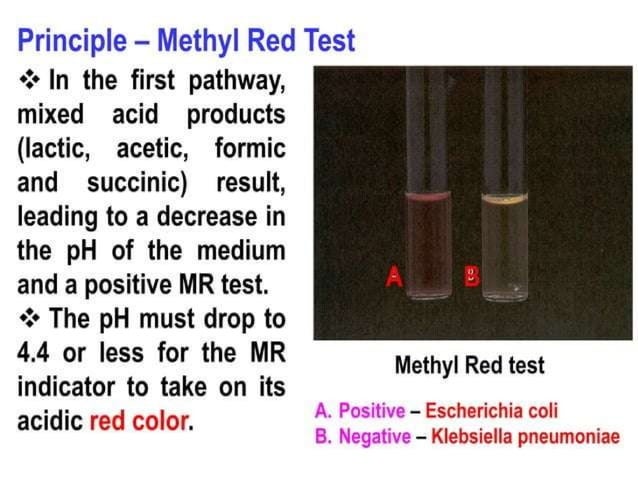Biochemical test for identi of bacteria.pptx