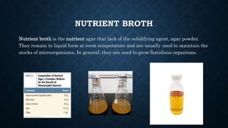 GBSN - Microbiology (Lab 4) Culture Media | PPTX