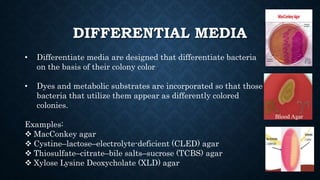 GBSN - Microbiology (Lab 4) Culture Media | PPTX