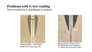 Epsilometer Test | PPTX