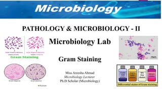 DPT - Microbiology - II (Gram Staining). | PPTX