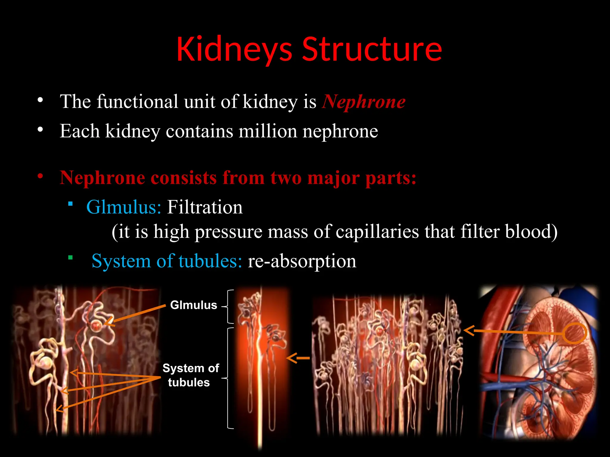 Kidney function test (Renal function test) | PPT
