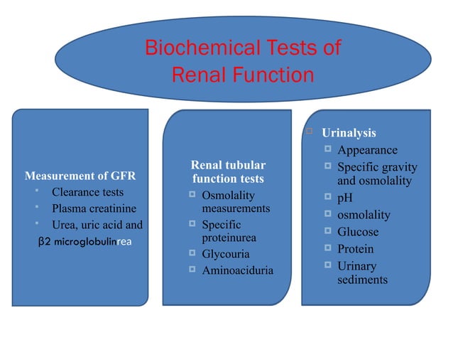 Kidney function test (Renal function test) | PPT