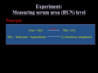 Kidney function test (Renal function test) | PPT | Endocrine and ...