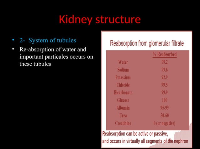 Kidney function test (Renal function test) | PPT