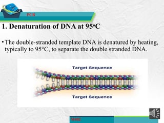 lab4 molecular biology.pptxbacteriology.. | PPT