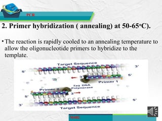 lab4 molecular biology.pptxbacteriology.. | PPT