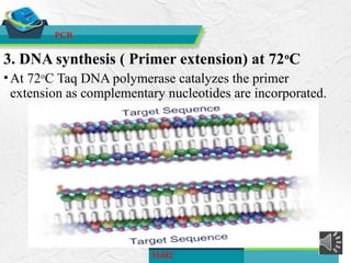 lab4 molecular biology.pptxbacteriology.. | PPT