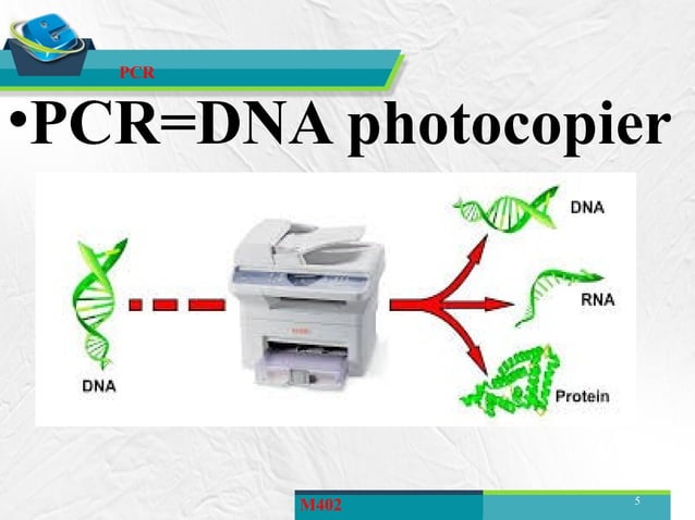 lab4 molecular biology.pptxbacteriology.. | PPT