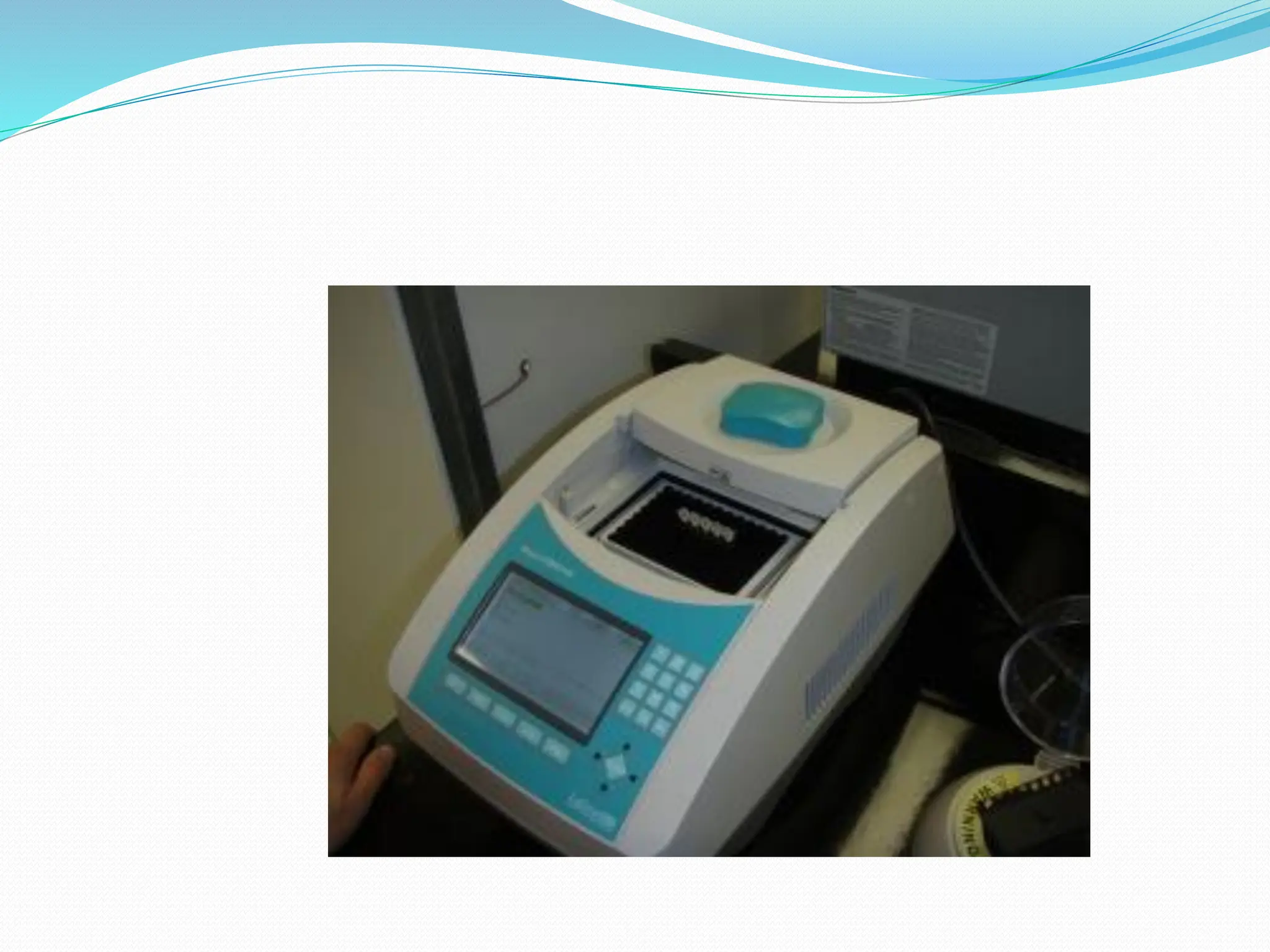 Lab4_PCR reaction.pdf0000000000000000000 | PPT