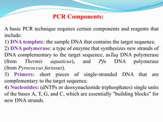 Lab4_PCR reaction.pdf0000000000000000000 | PPT