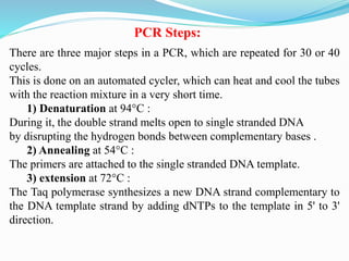 Lab4_PCR reaction.pdf0000000000000000000 | PPT