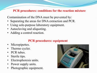 Lab4_PCR reaction.pdf0000000000000000000 | PDF