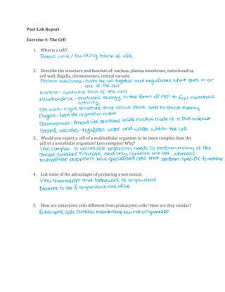 Lab4 post lab lab4 post lab biology lab. | PDF