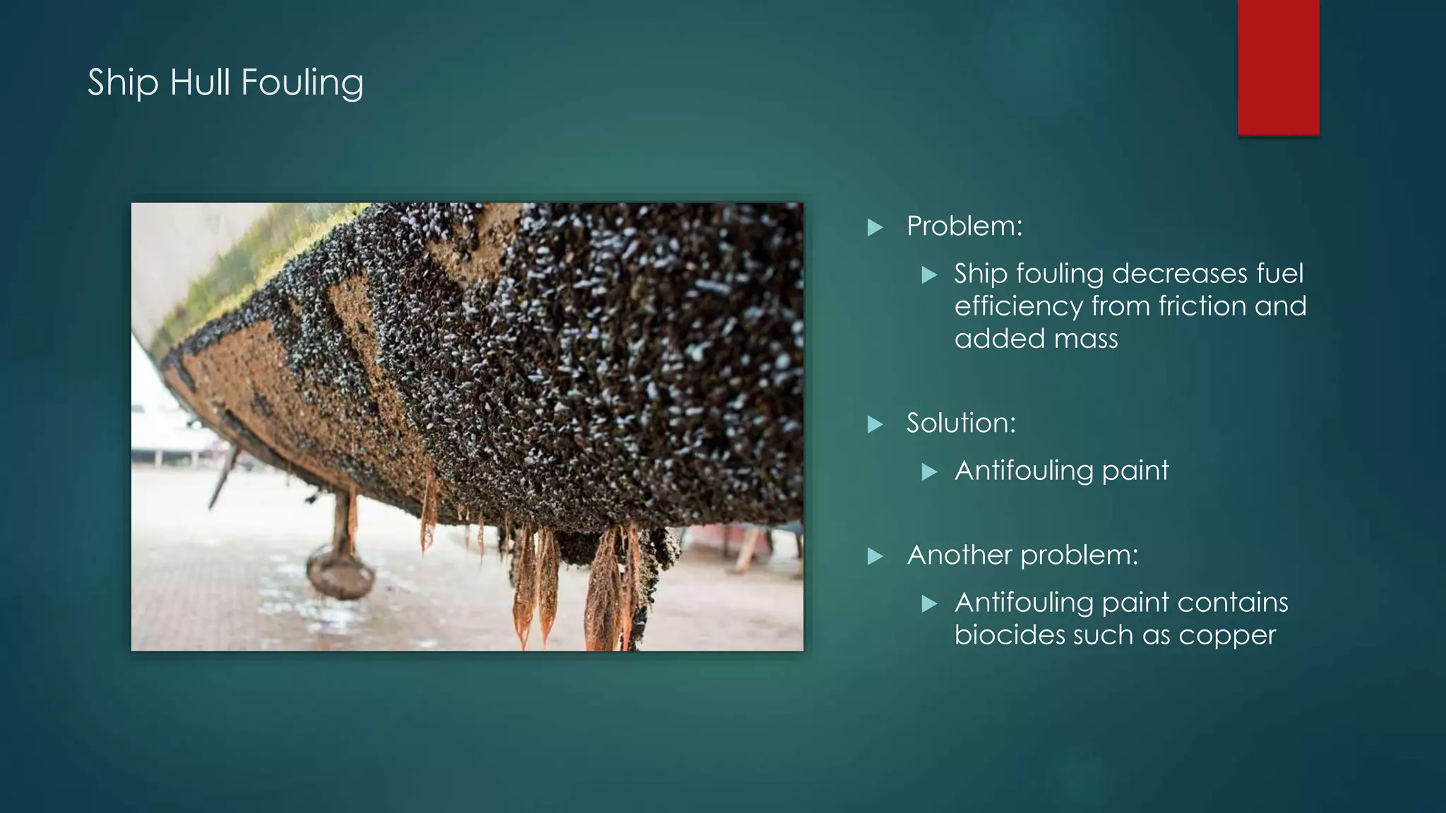 Quantification of Copper in Surface Sediment Samples via Flame Atomic ...