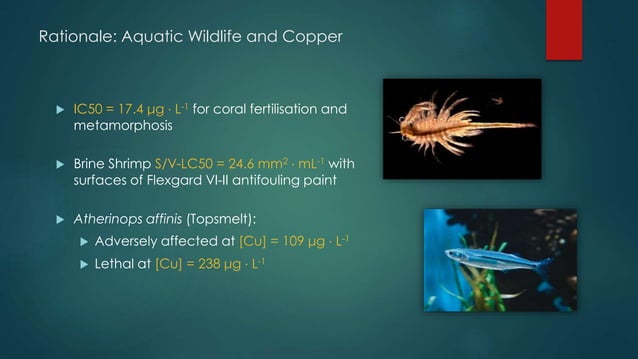 Quantification of Copper in Surface Sediment Samples via Flame Atomic ...