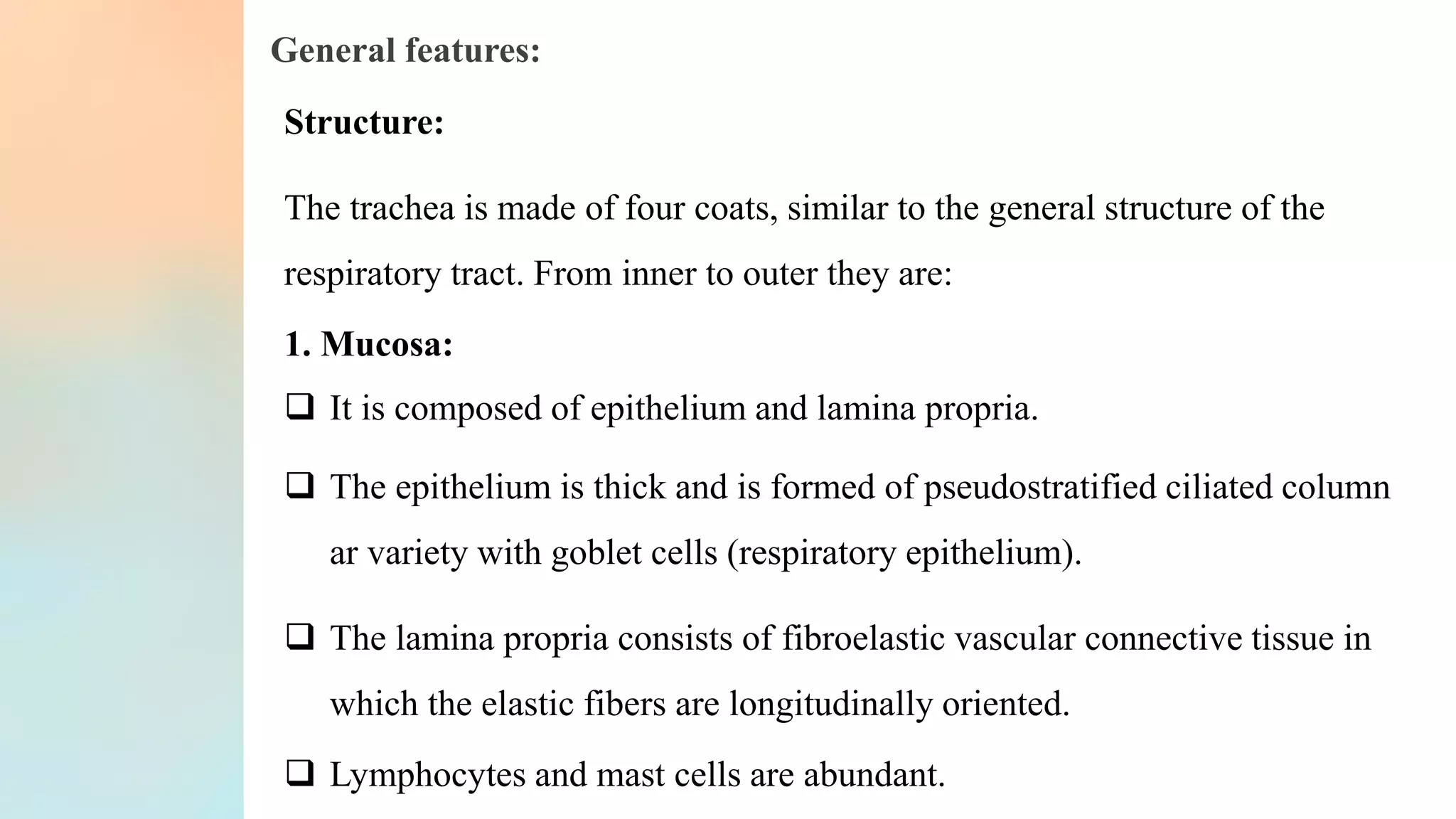 Lab 4 The Respiratory system.pdf