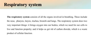 Lab 4 The Respiratory system.pdf