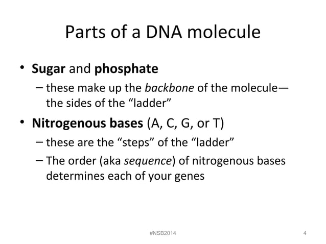 Lab 5 dna extraction from strawberries and liver fall 2014 | PPT ...