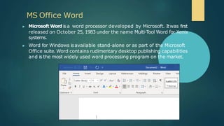 MS Office Word.pptx