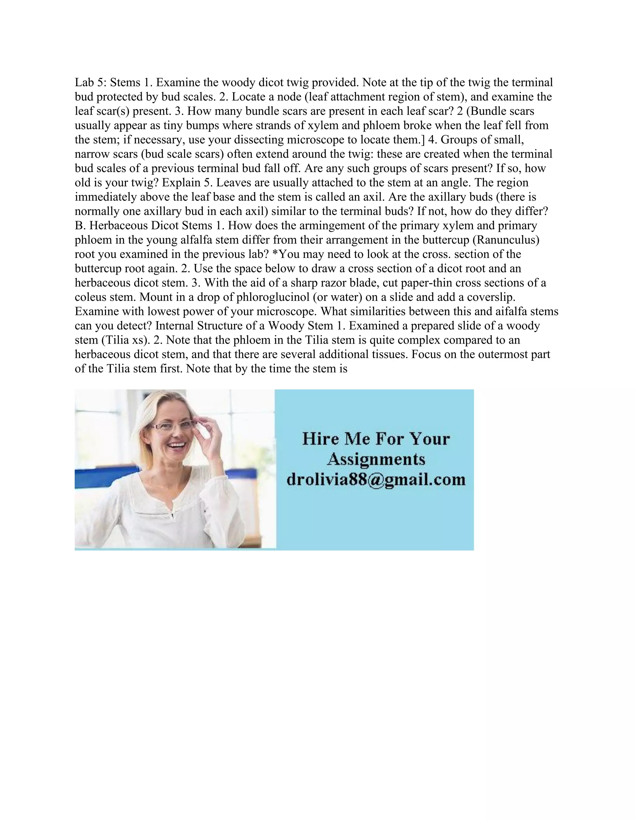 Lab 5- Stems 1- Examine the woody dicot twig provided- Note at the tip.pdf