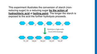 Chemistry laboratory in senior highschool | PPTX | Chemistry | Science