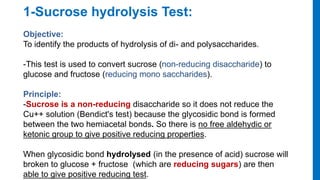 Chemistry laboratory in senior highschool | PPTX | Chemistry | Science