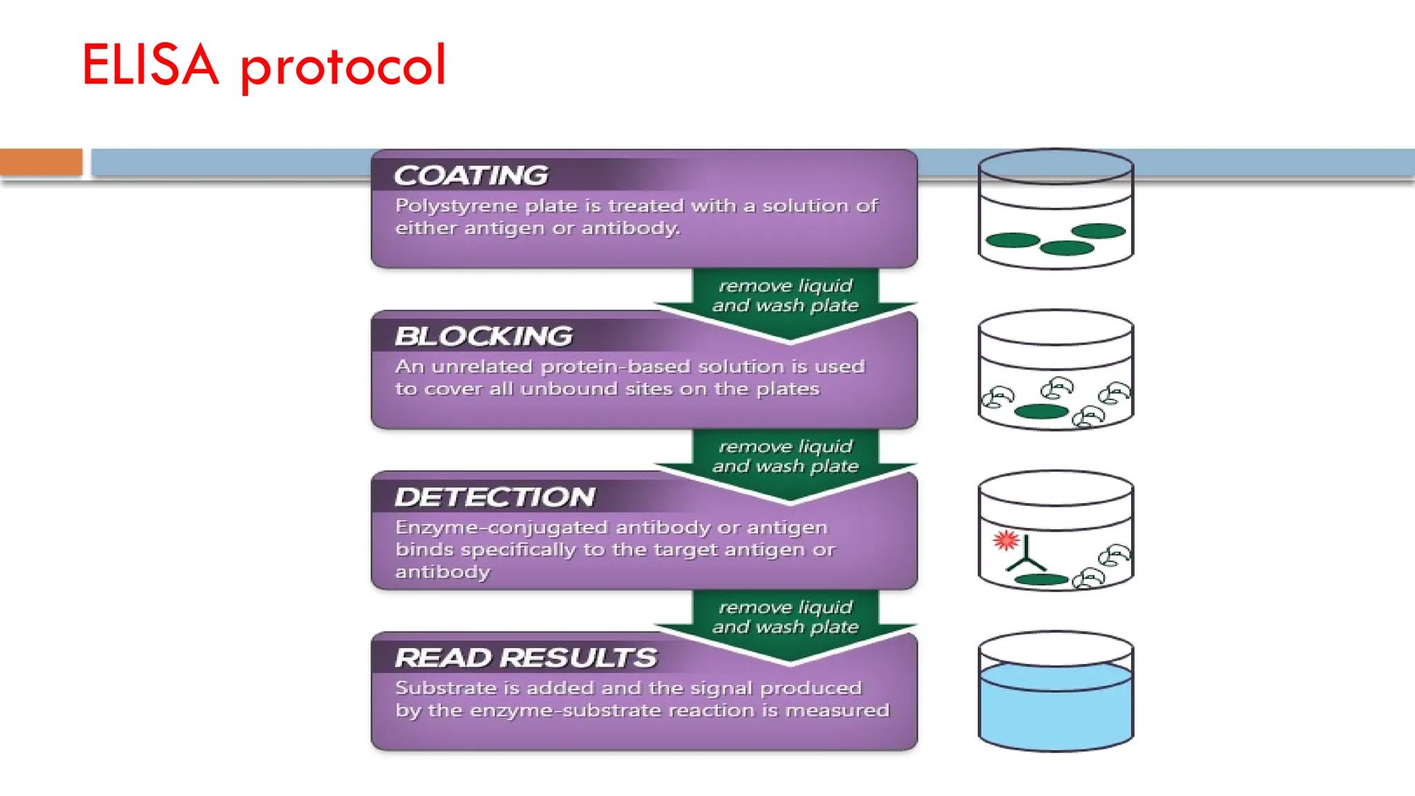 Lab 5 ELISAahsjjdjdiejjeidndenbuzksnsje.pptx