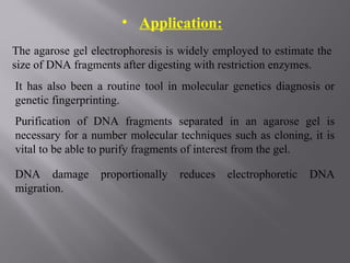 Lab5_Gel electrophoresispppppp000000.ppt