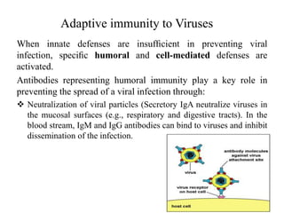 Immunity against viruses, thebasics and priciples.pptx